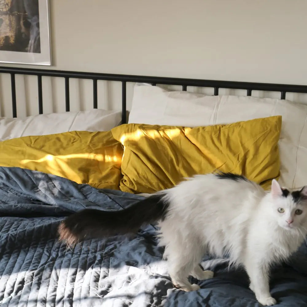 Why Choose Chemical-Free Sheets for Better Sleep & Wellness | ettitude